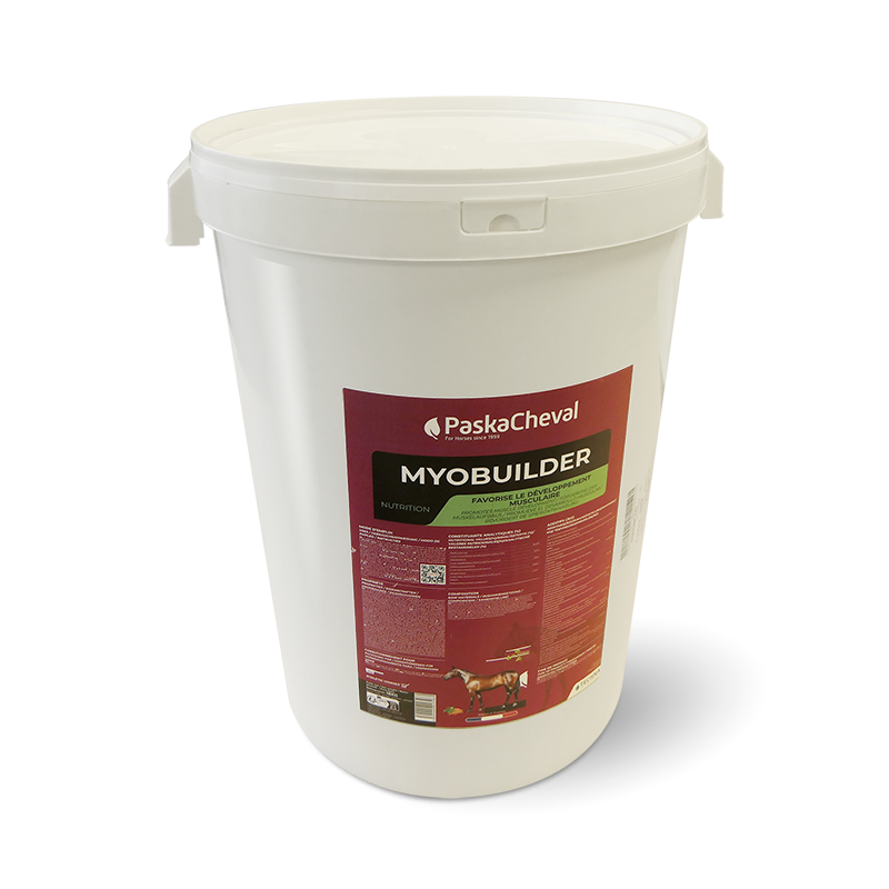 Myo Builder Muscle Developer – SJ EquiPro Ltd